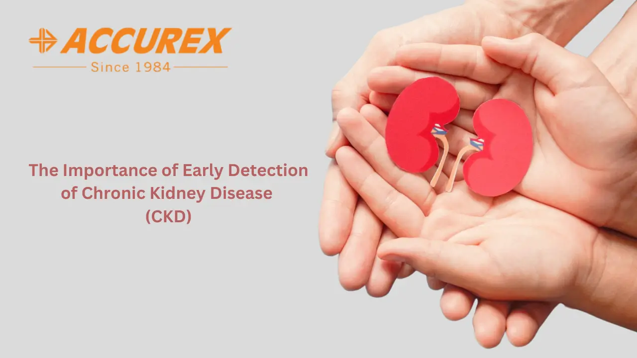 The Importance of Early Detection of Chronic Kidney Disease